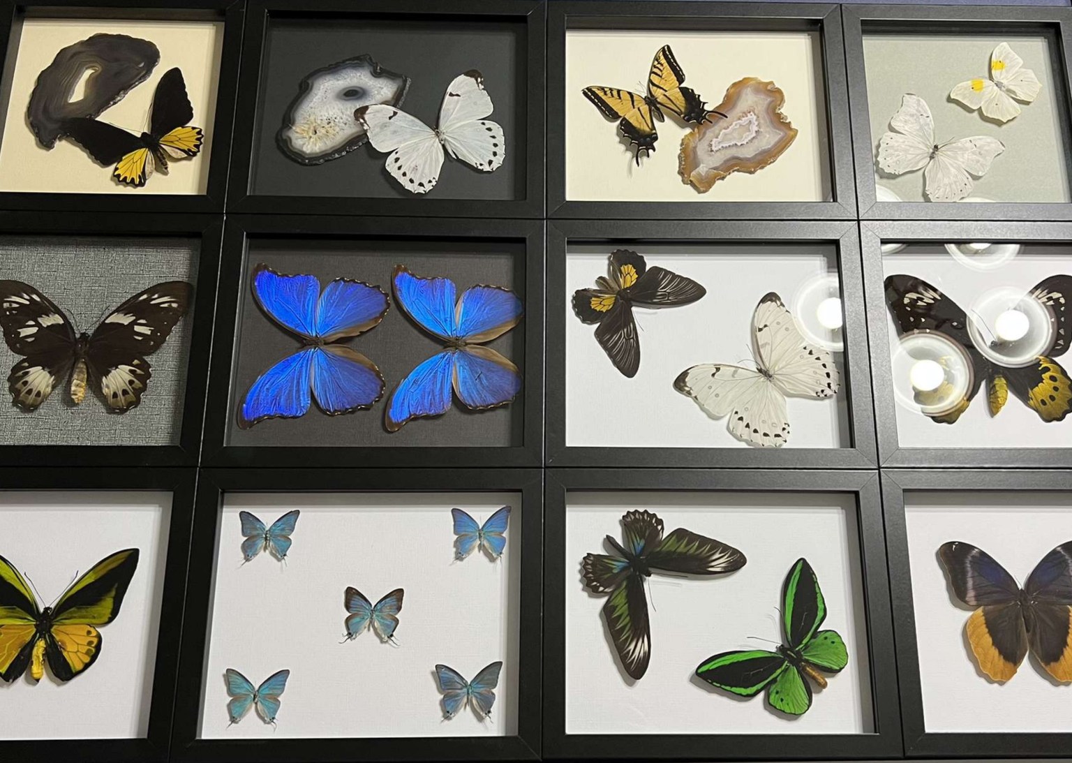 Firefly Art Fair 2024 Artists - Wauwatosa Historical Society