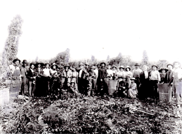 Horses and Hops: The History of the Pabst Wauwatosa Stock Farm with ...